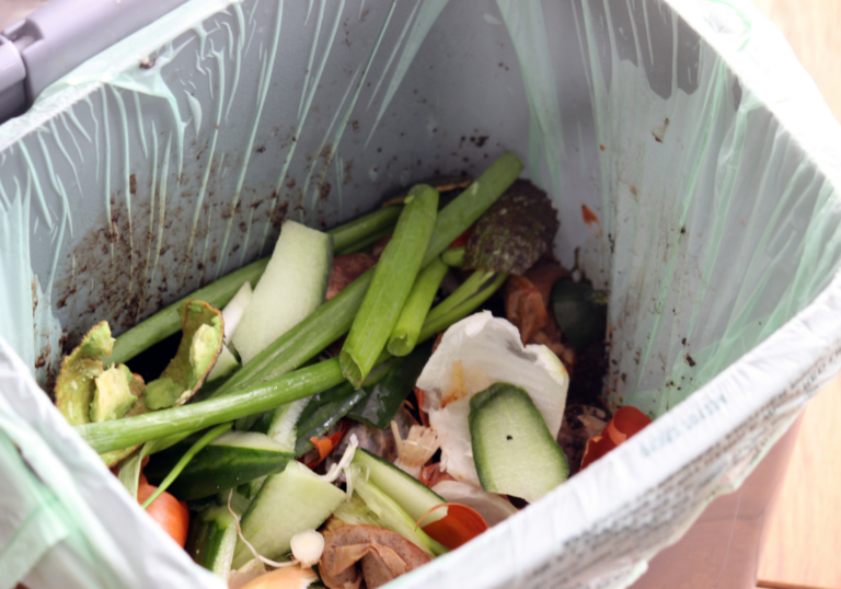 Food Waste Recycling: What Happens When Food Goes in the Recycling Bin ...