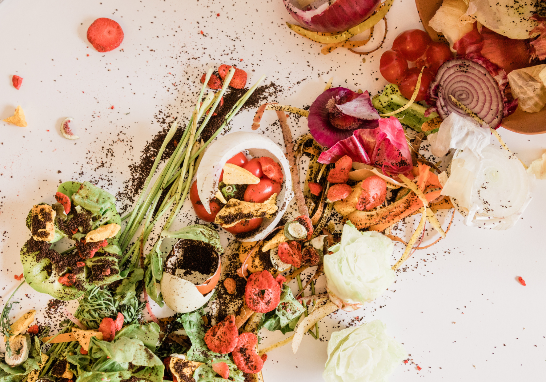 Reducing Commercial Food Waste: Why It Matters and How Food Waste ...