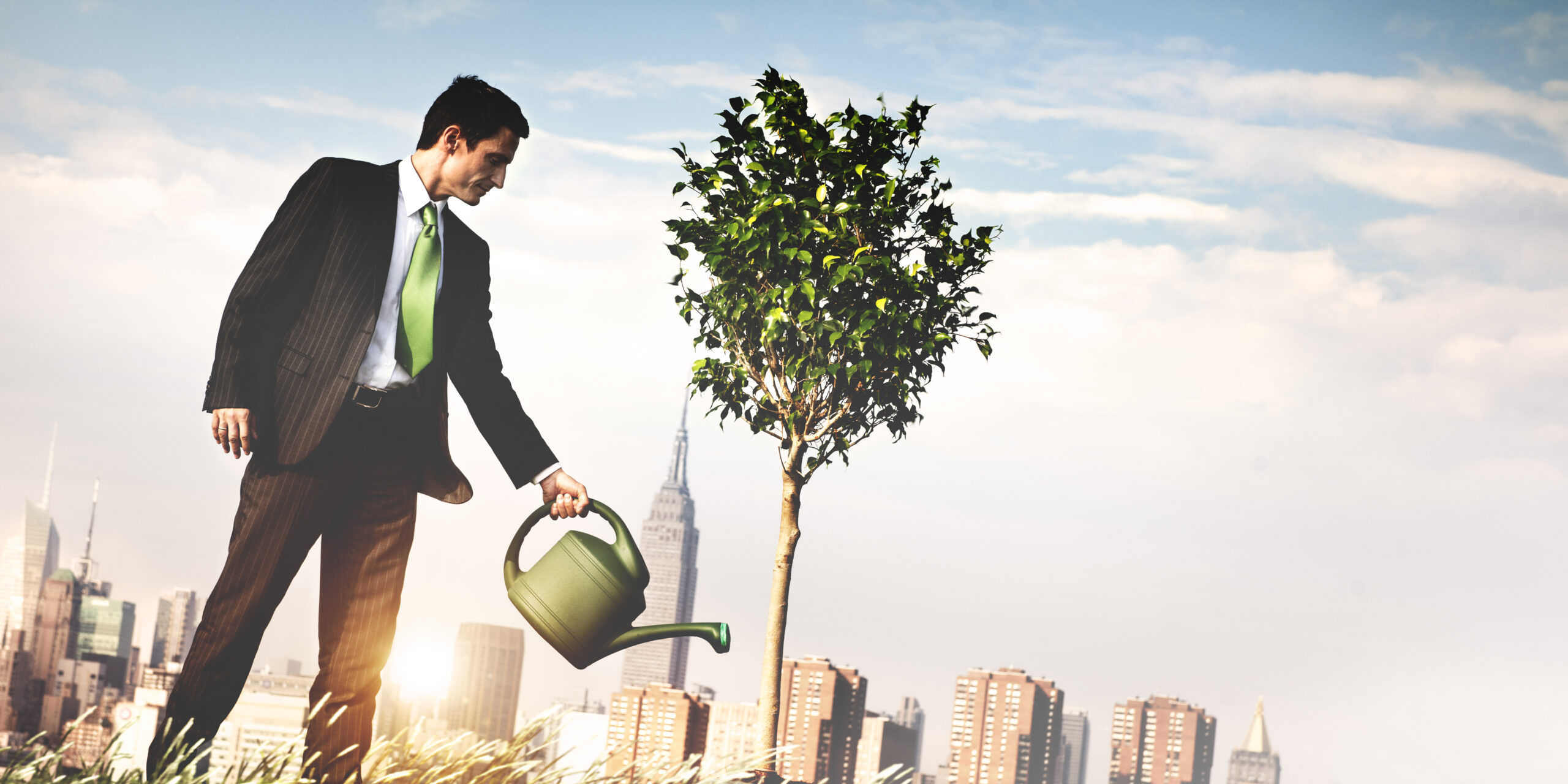 What does the 'new normal' mean to you? The time has come to build back ...